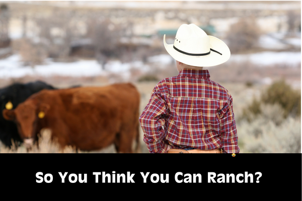 So You Think You Can Ranch? (Written like a true rancher via AI) – Dude ...