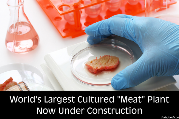 This U.S City Will Be Home To A Giant Facility – Dude Food