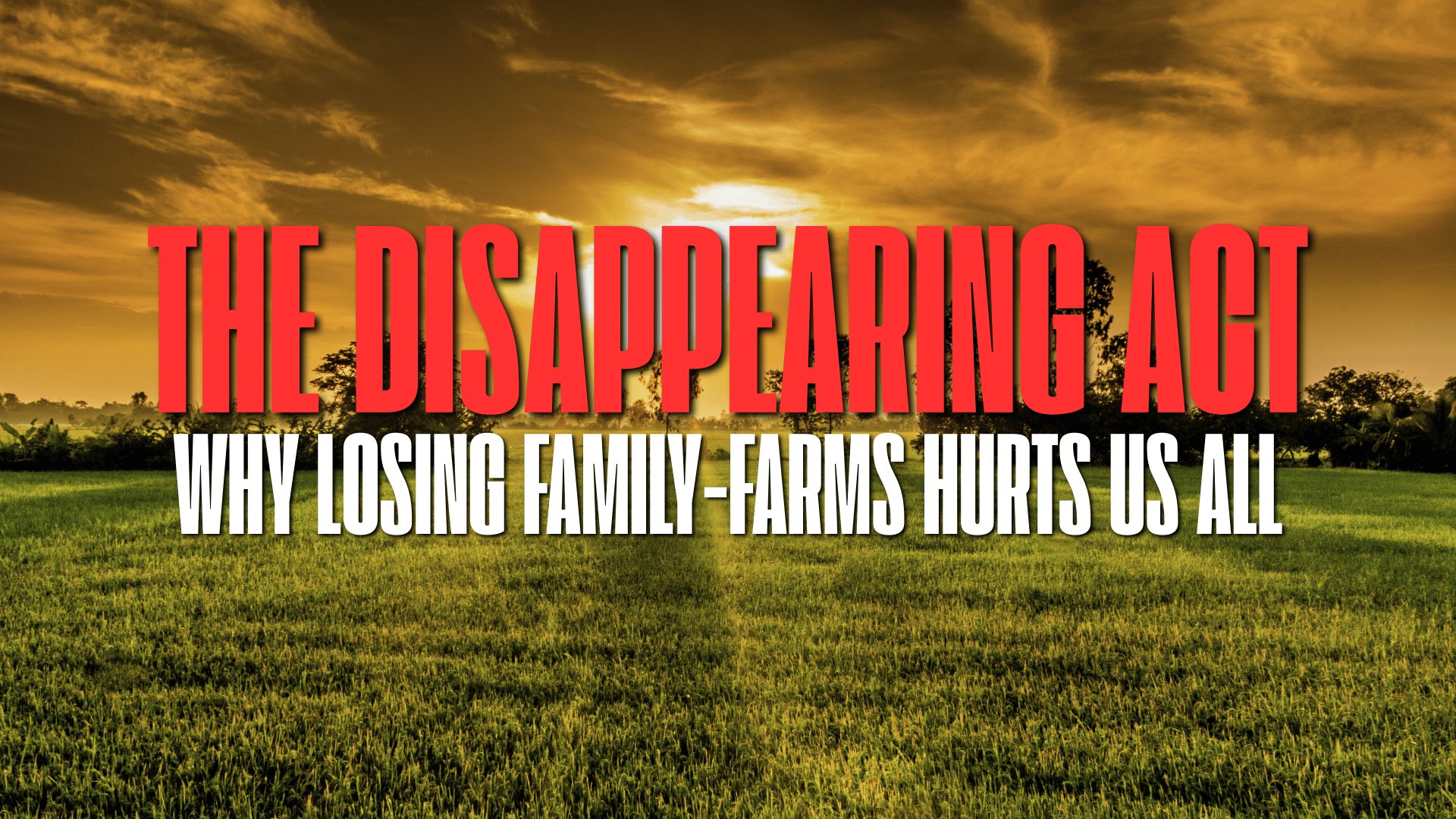 The Disappearing Act: Why Losing Family Farms Hurts Us All – Dude Food